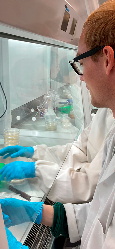 HTX - få Matematik A og Bioteknologi A på Biotech